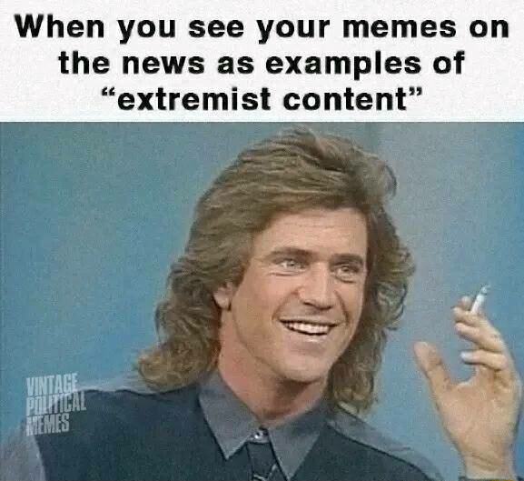 When you see your memes on the news as examples of "extremist content ...
