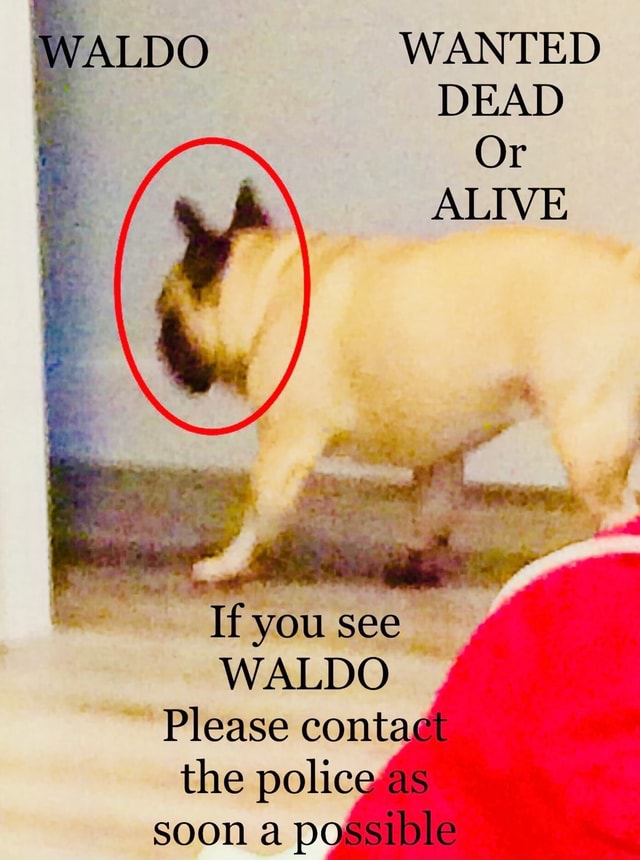 WALDO WANTED DEAD Or ALIVE If you see WALDO Please contact the police ...