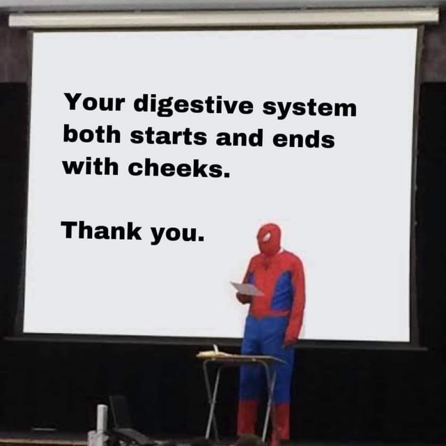 Your digestive system both starts and ends with cheeks. Thank you. - iFunny