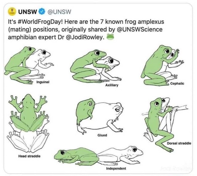 Unsw @UNSW It's #WorldFrogDay! Here are the 7 known frog amplexus ...