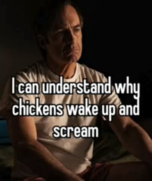 I can understand chickens wake up an scream - America’s best pics and ...