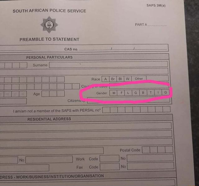 SOUTH AFRICAN POLICE SERVICE PREAMBLE TO STATEMENT CAS no. PERSONAL ...