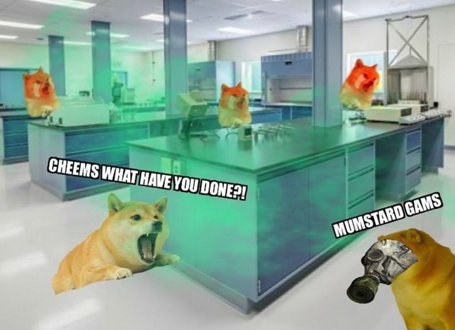 CHEEMS WHar HAVE you DONED pan - iFunny