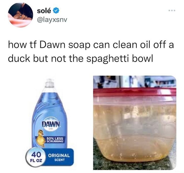@layxsny how tf Dawn soap can clean oil off a duck but not the ...