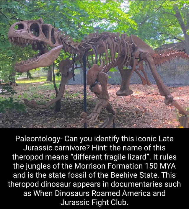 Paleontology- Can you identify this iconic Late Jurassic carnivore ...