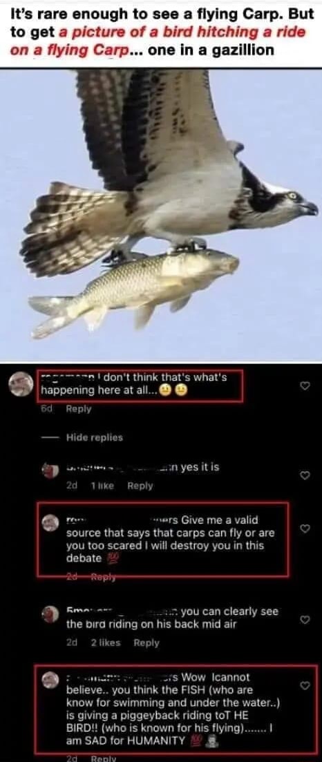 It's rare enough to see a flying Carp. But to get a picture of a bird ...