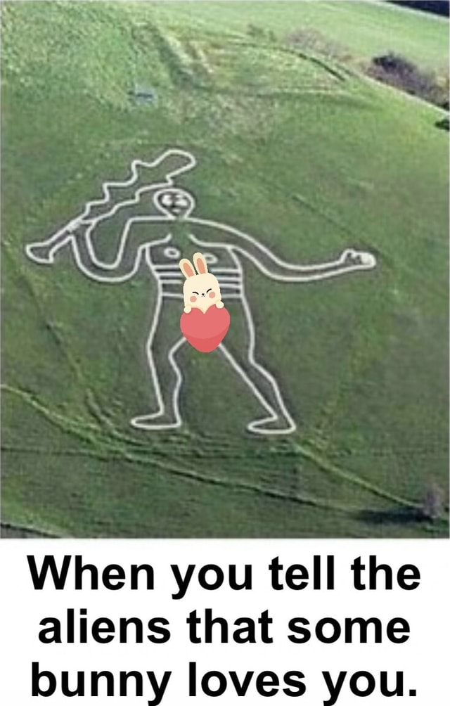 When you tell the aliens that some bunny loves you. - iFunny