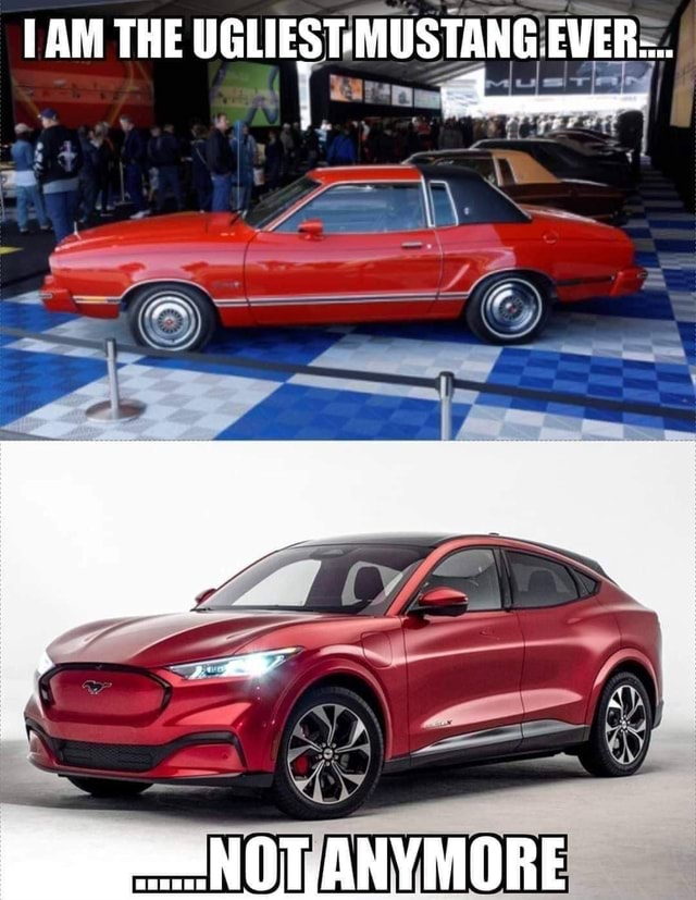 TAM THE UGLIEST MUSTANG EVER.... - America’s best pics and videos