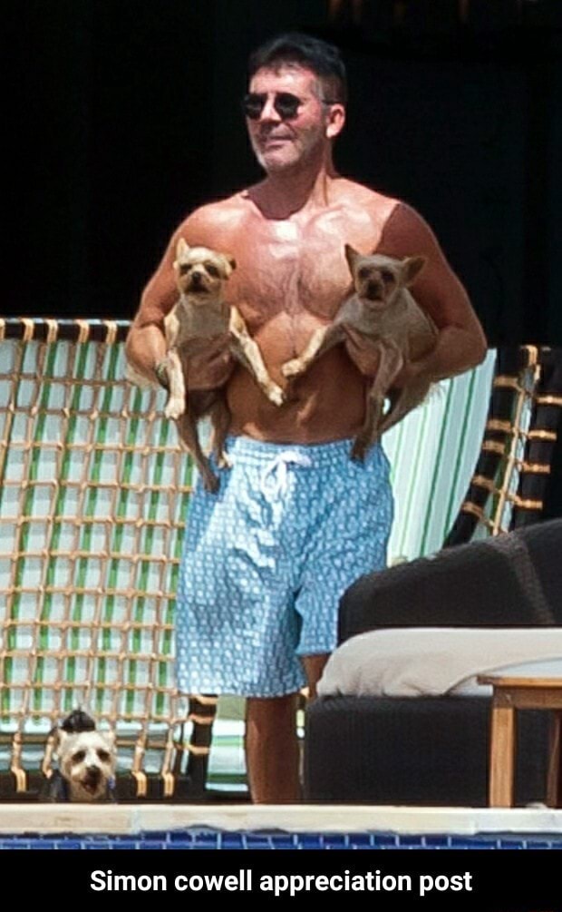 Simon cowell appreciation post - Simon cowell appreciation post - iFunny