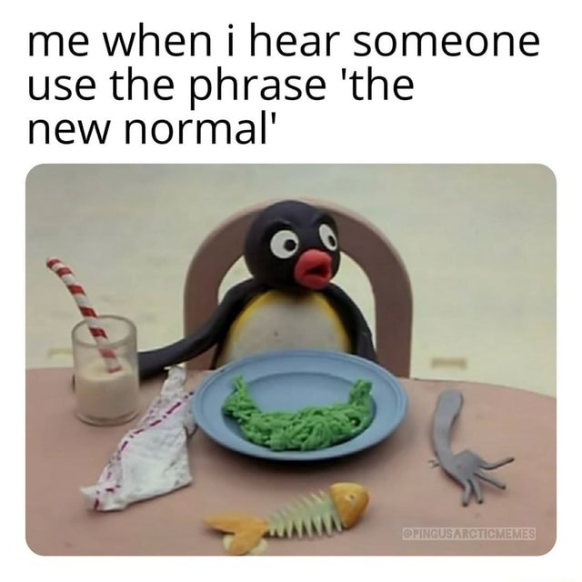 Me when i hear someone use the phrase 'the new normal' - iFunny