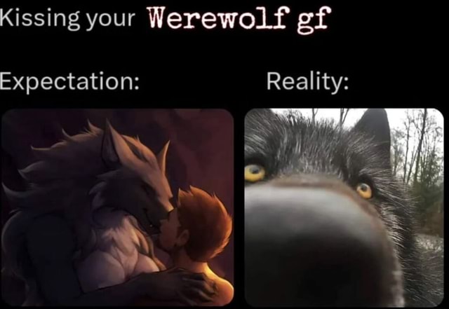 Kissing your Werewolf gf Expectation: Reality: - iFunny