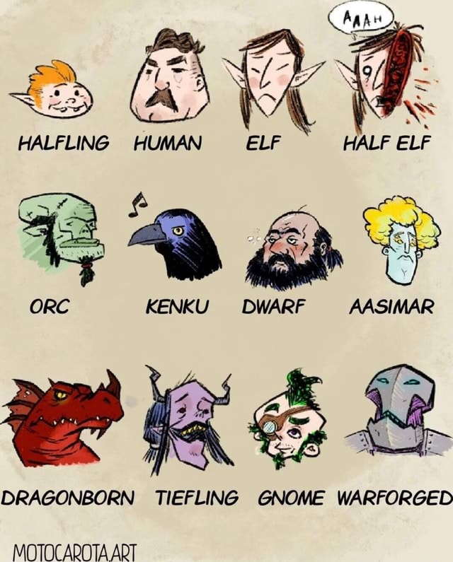 HALF ELF DRAGONBORN TIEFLING GNOME WARFORGED MOTOCAROTA ART - iFunny