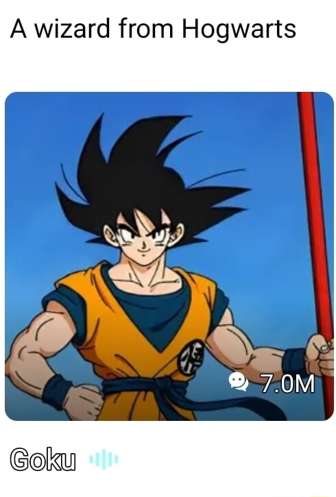 A wizard from Hogwarts Goku - iFunny