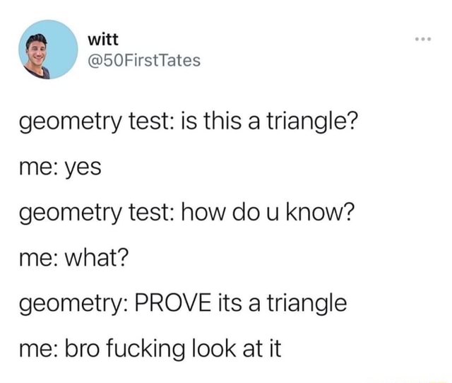 Geometry test: is this a triangle? me: yes geometry test: how do u know ...