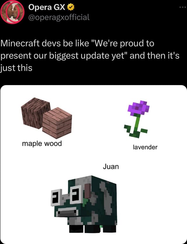Opera GX NS Minecraft devs be like "We're proud to present our biggest update yet" and then it's ...