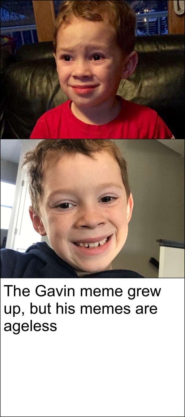 The Gavin meme grew up, but his memes are ageless - iFunny