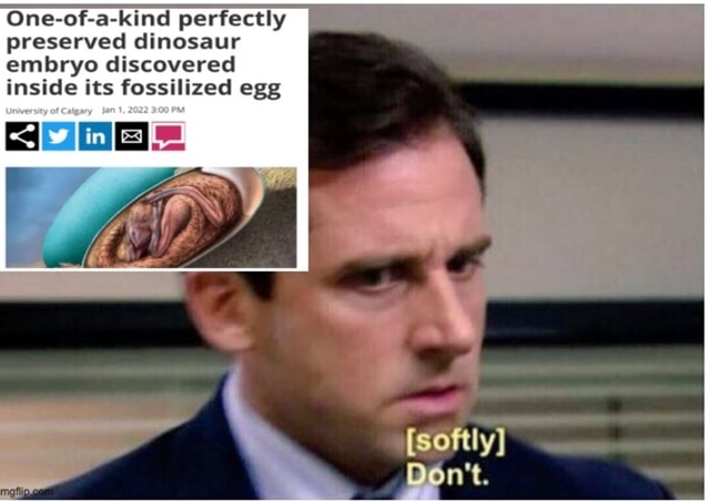 One-of-a-kind perfectly preserved dinosaur embryo discovered inside its ...
