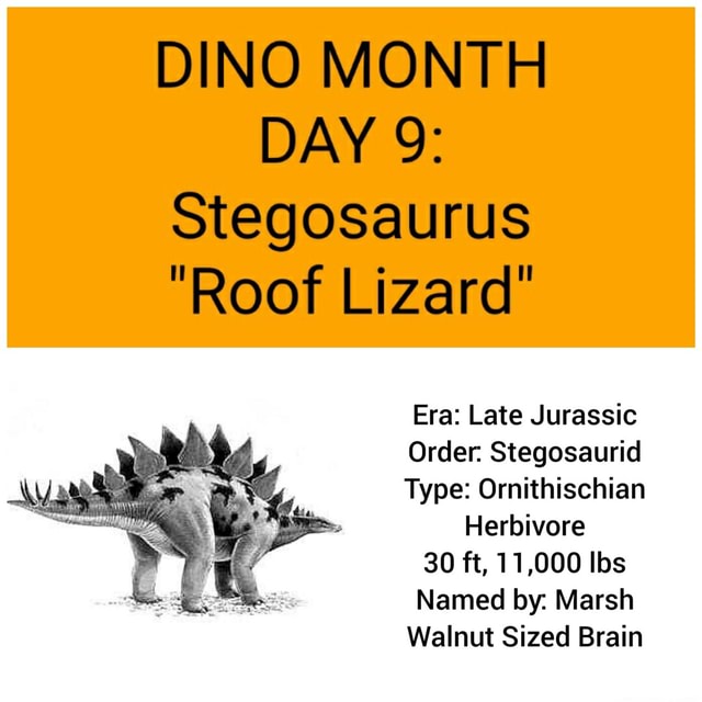 DINO MONTH DAY 9: Stegosaurus "Roof Lizard" Era: Late Jurassic Order ...