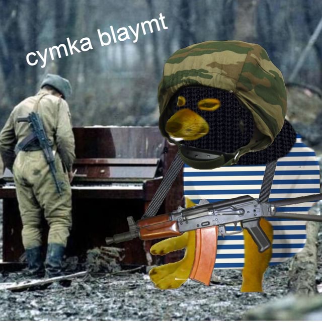 Cheems stops for a second to reflect on the stress of being deployed in ...