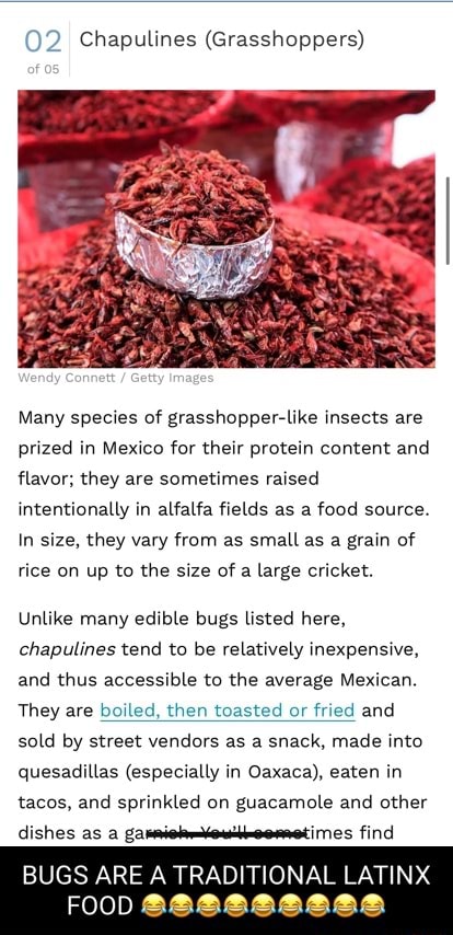 Chapulines (Grasshoppers) Many species of grasshopper-like insects are ...