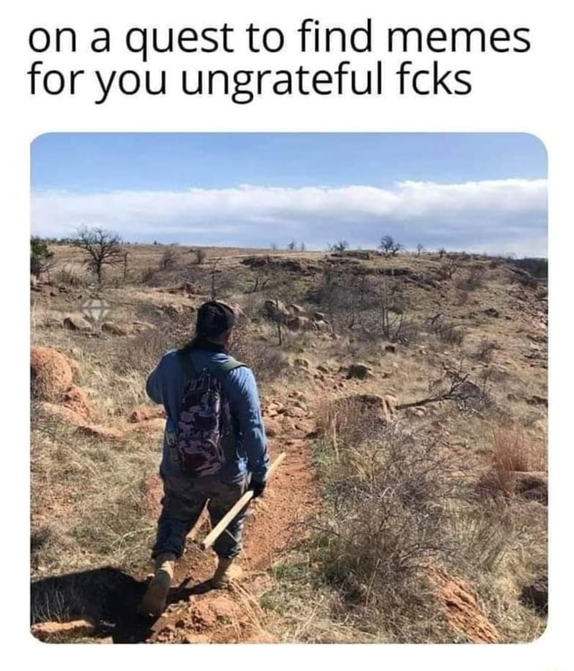 On a quest to find memes for you ungrateful fcks - seo.title