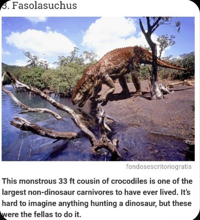 . Fasolasuchus fondos toriogratis This monstrous 33 ft cousin of ...