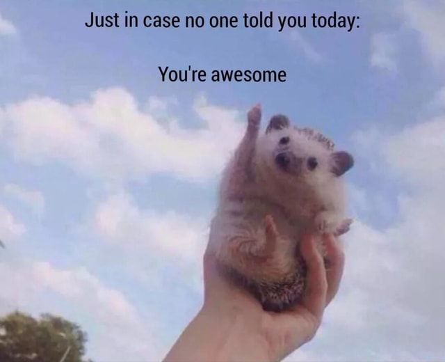 Just in case no one told you today: You're awesome - iFunny