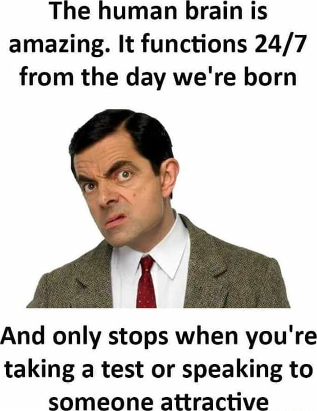 The human brain is amazing. It functions from the day we're born And ...