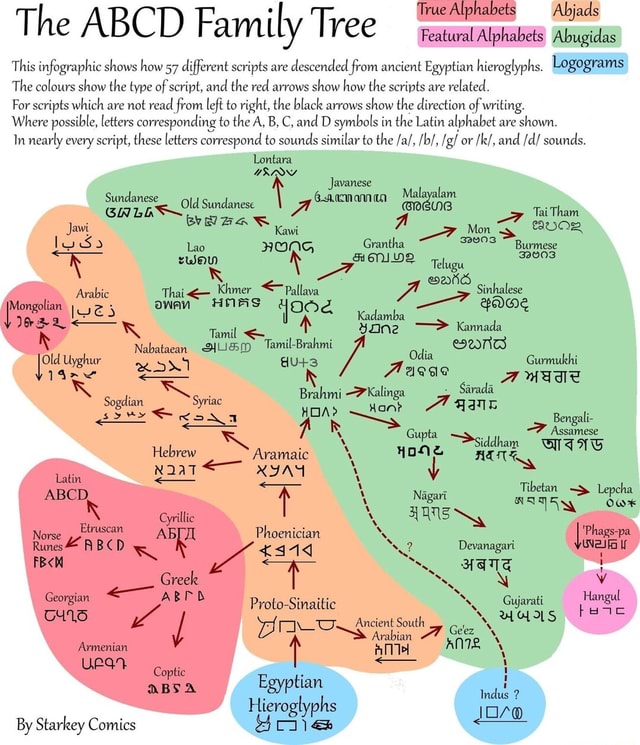 TrueAlphabets Abjads The ABCD Family Tree This infographic shows how 57 ...