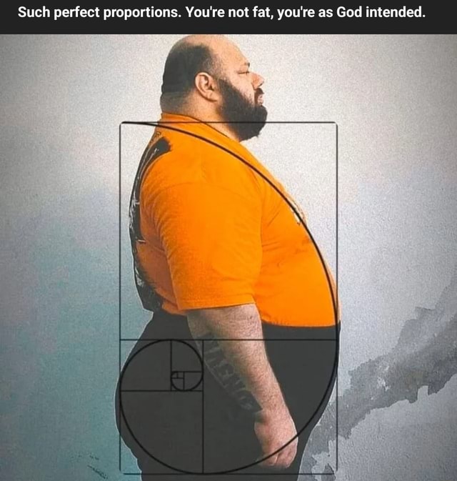 Such perfect proportions. You're not fat, you're as God intended. - iFunny