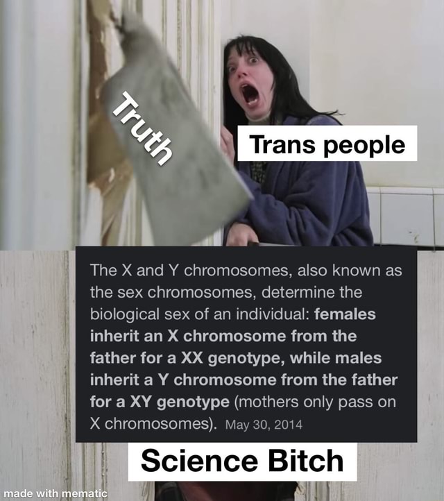 Trans people The X and Y chromosomes, also known as the sex chromosomes ...