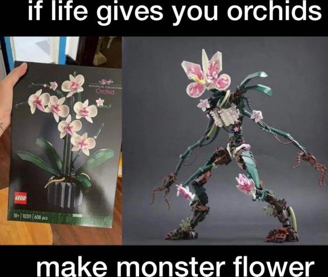 If life gives you orchids mr make monster flower - iFunny