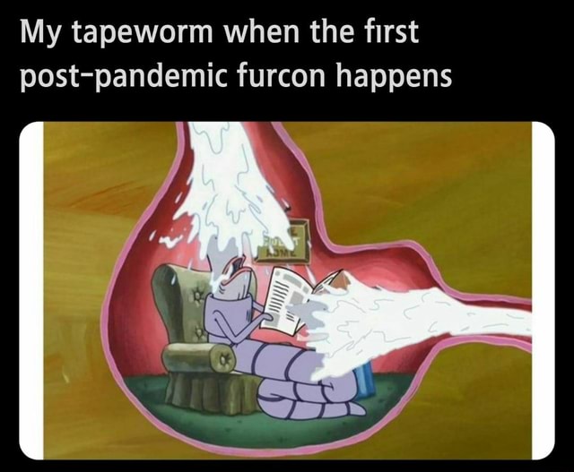 My tapeworm when the first post-pandemic furcon happens - iFunny