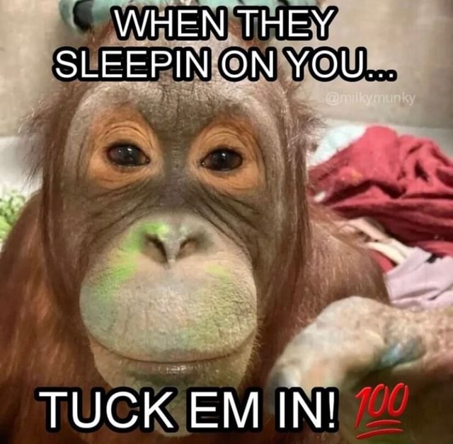 WHEN THEY SUE ON YOU... TUCK EM IN! - iFunny