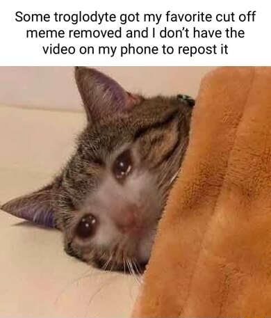 Some troglodyte got my favorite cut off meme removed and I don't have ...