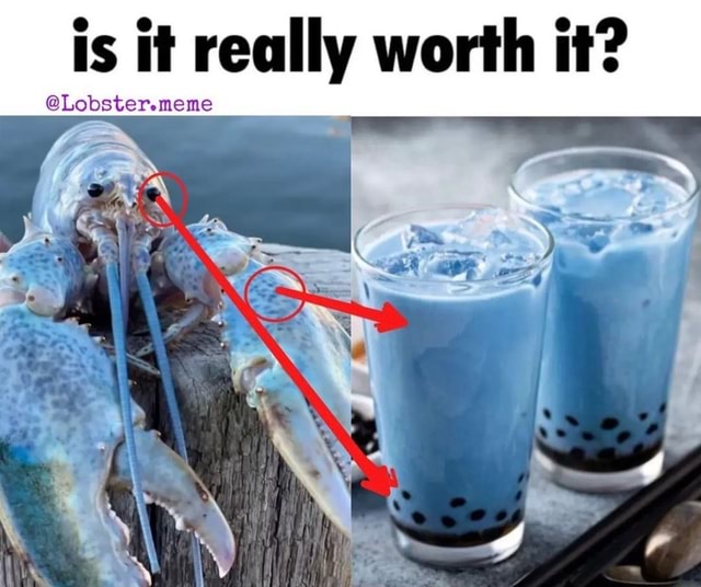 Is it really worth it? @Lobster.meme - iFunny