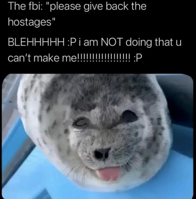 The fbi: "please give back the hostages" BLEHHHHH :Pi am NOT doing that ...