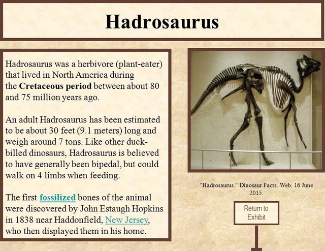 Hadrosaurus Hadrosaurus was a herbivore (plant-eater) that lived in ...