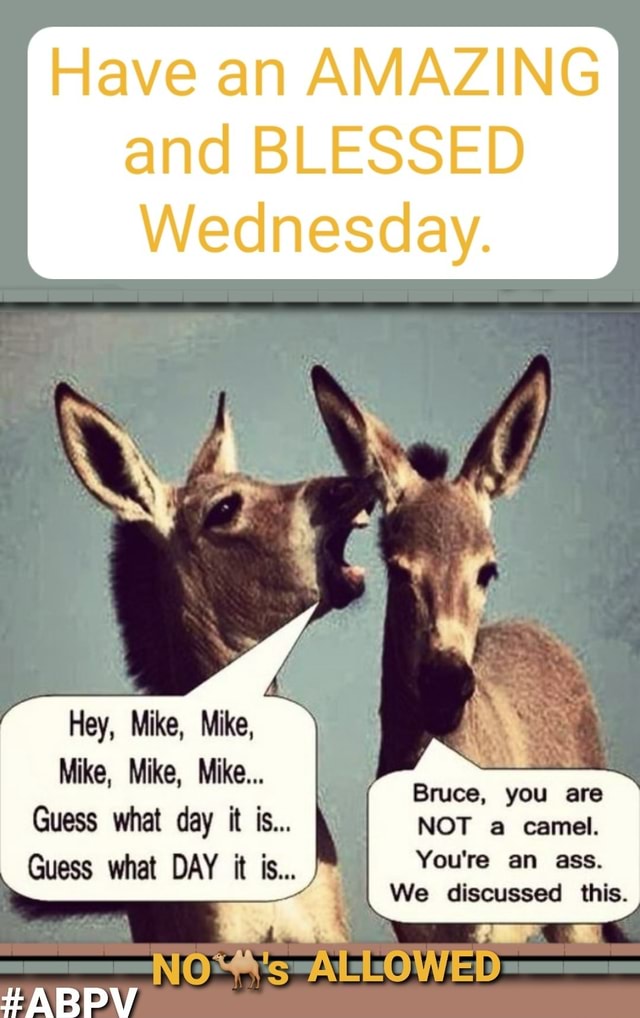 Have an AMAZING and BLESSED Wednesday. Hey, Mike, Mike, Mike, Mike ...