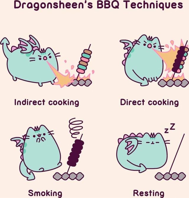 Dragonsheens BBQ Techniques Indirect cooking Direct cooking Smoking ...
