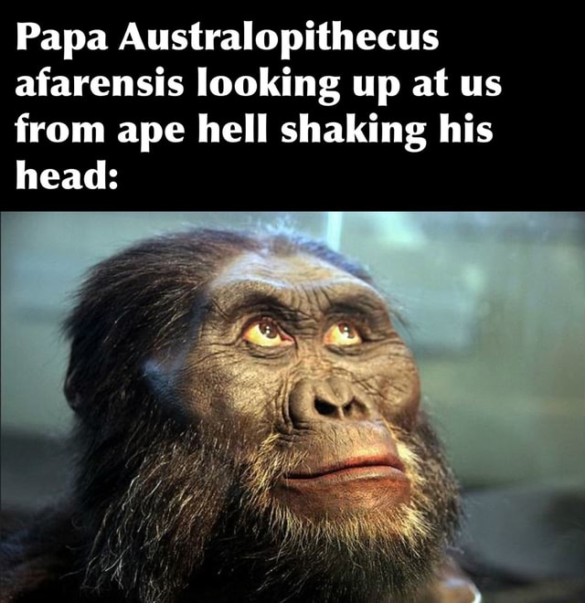 Papa Australopithecus US looking up at us from ape hell shaking his ...