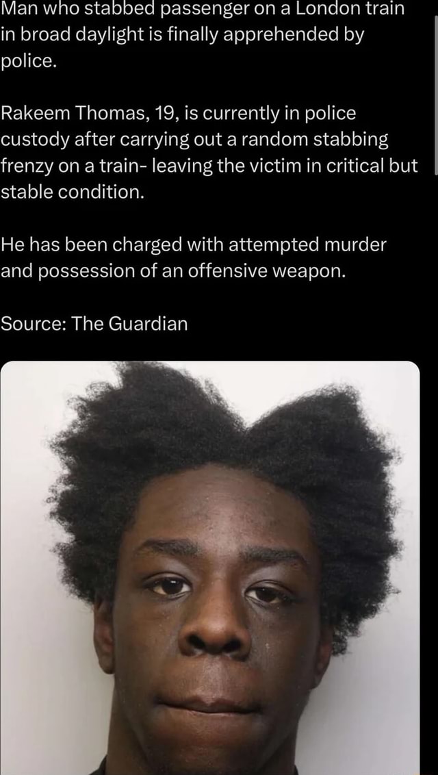 Man who stabbed passenger on a London train in broad daylight is ...