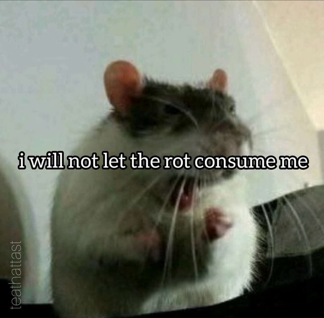 I will not let the rot consume me - iFunny