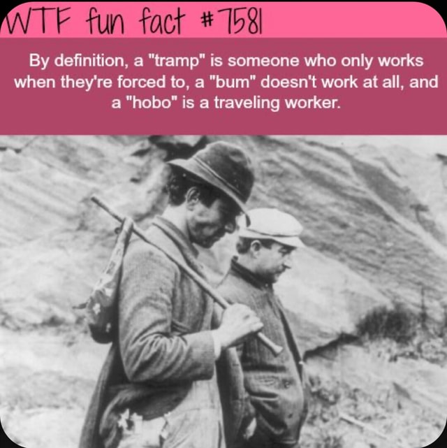 TE fun fact By definition, a "tramp" is someone who only works when ...