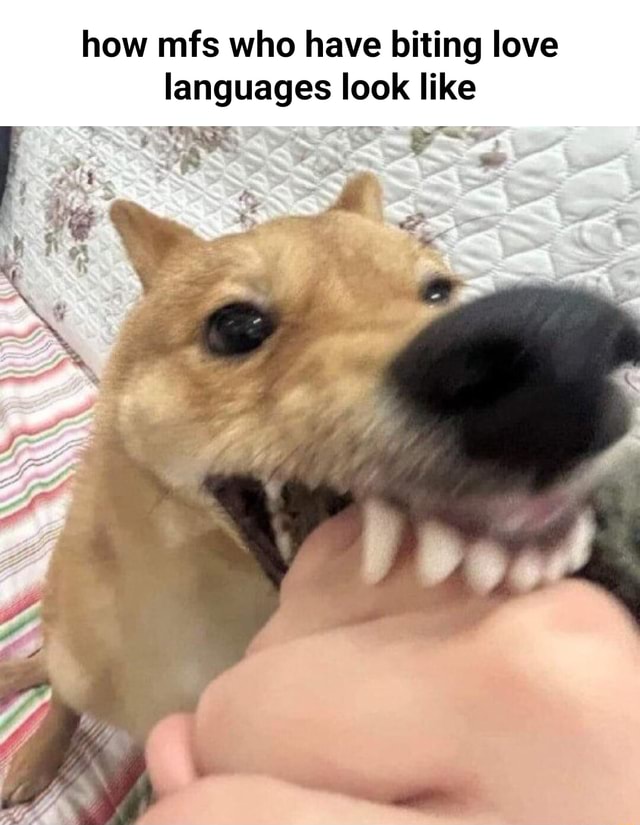 How mfs who have biting love languages look like - iFunny