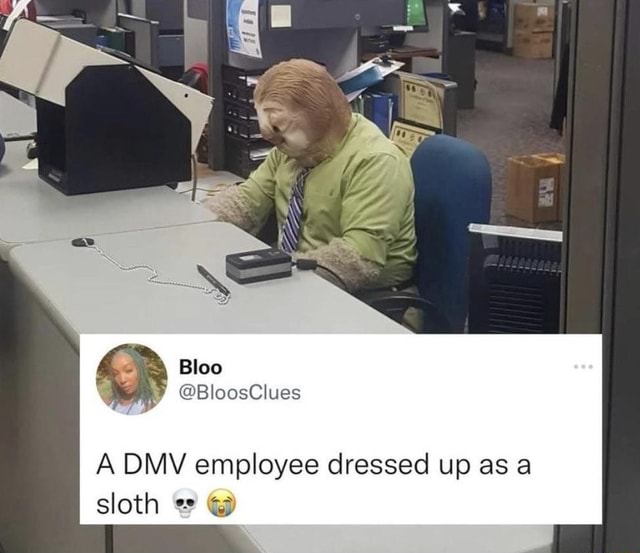A DMV employee dressed up as a sloth - iFunny