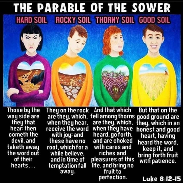 THE PARABLE OF THE SOWER HARD SOIL ROCKY SOIL THORNY SOIL GOOD SOIL i ...