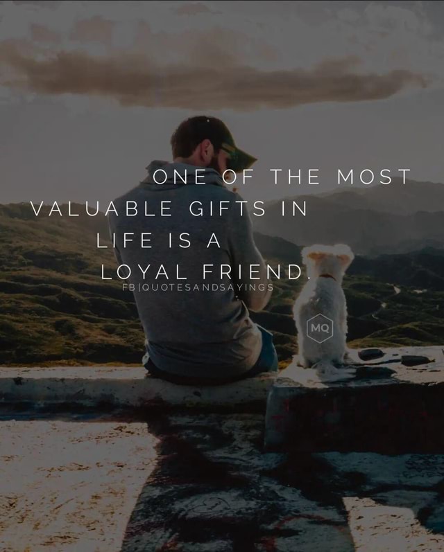 A loyal friend - ONE OF THE MOST VALUABLE GIFTS IN LIFE IS LOYAL FRIEND ...