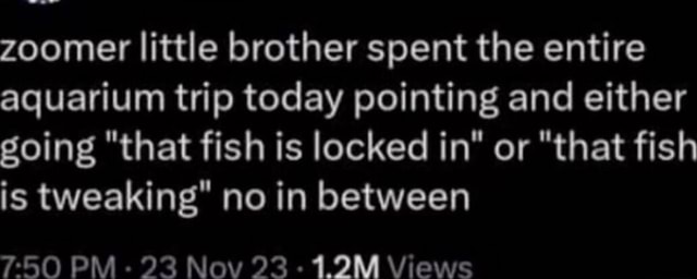 Zoomer little brother spent the entire aquarium trip today pointing and ...