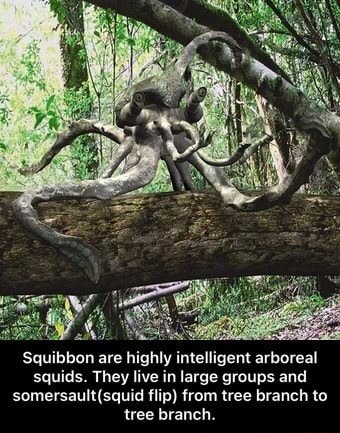 Squibbon are highly intelligent arboresl squids. They live in large ...